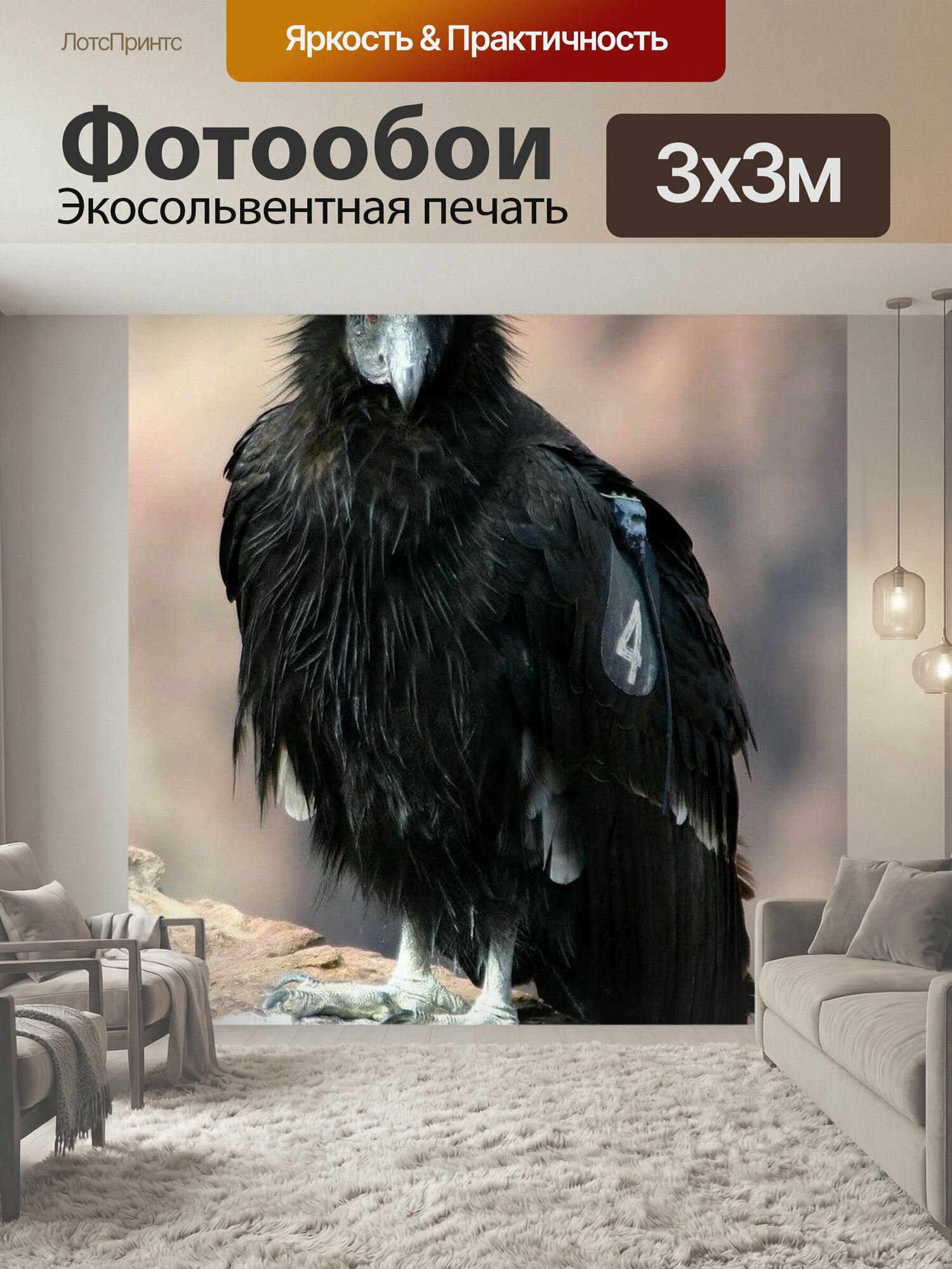 Фотообои "Калифорния, птица, кондор" 300x300 см. экосольвентная печать