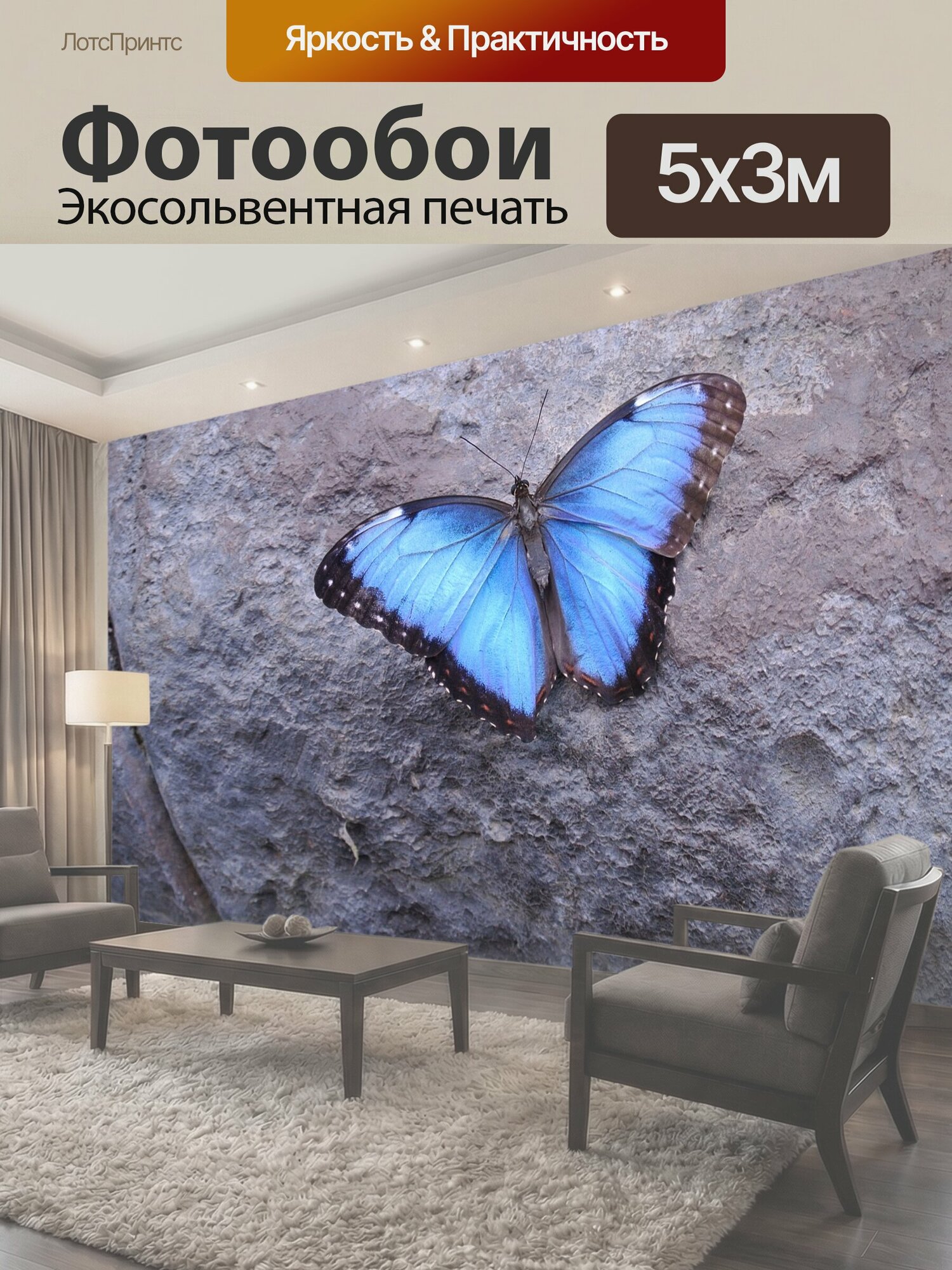 Фотообои "Бабочка, коста-рика, насекомое" 500x300 см. экосольвентная печать