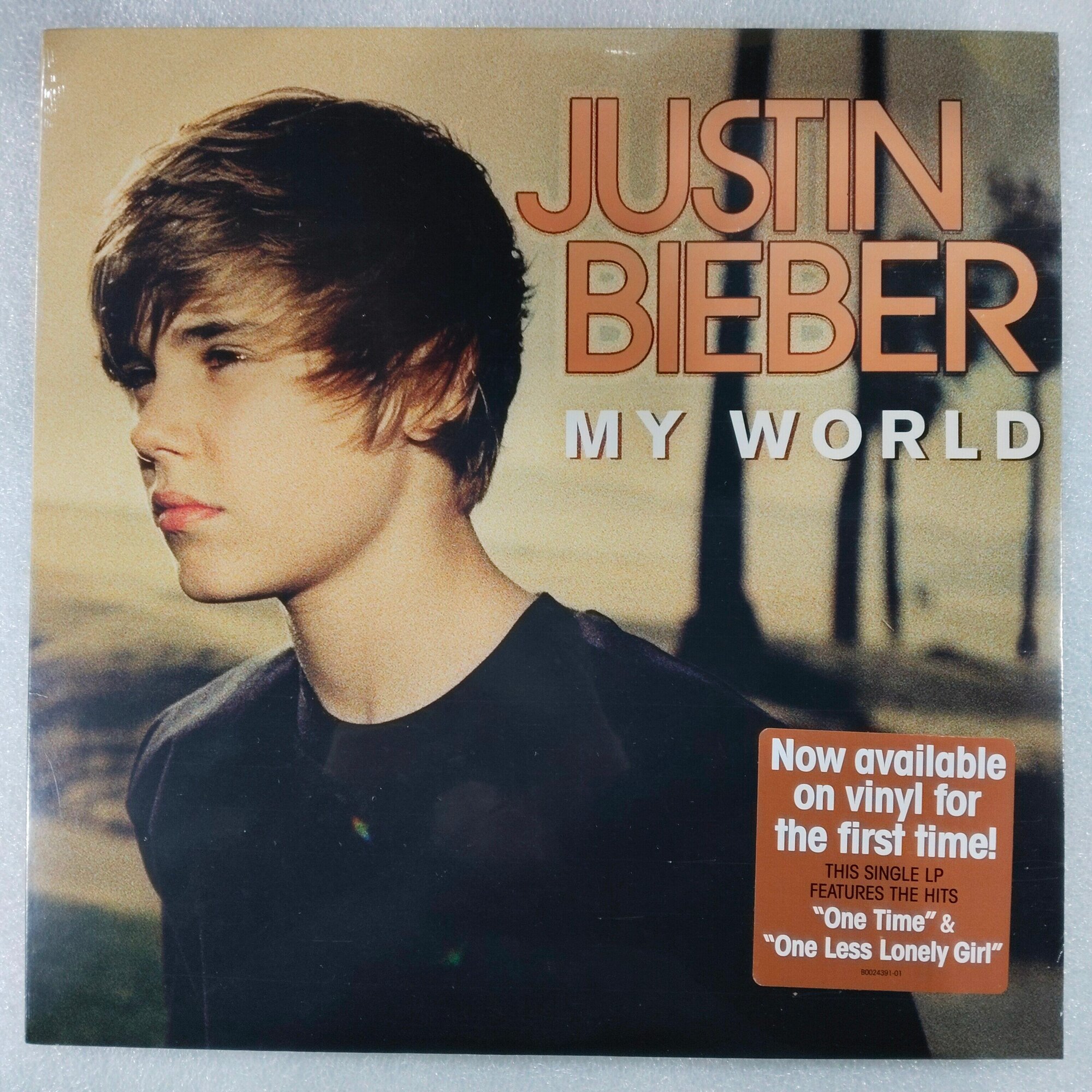 Justin Bieber My World винил LP