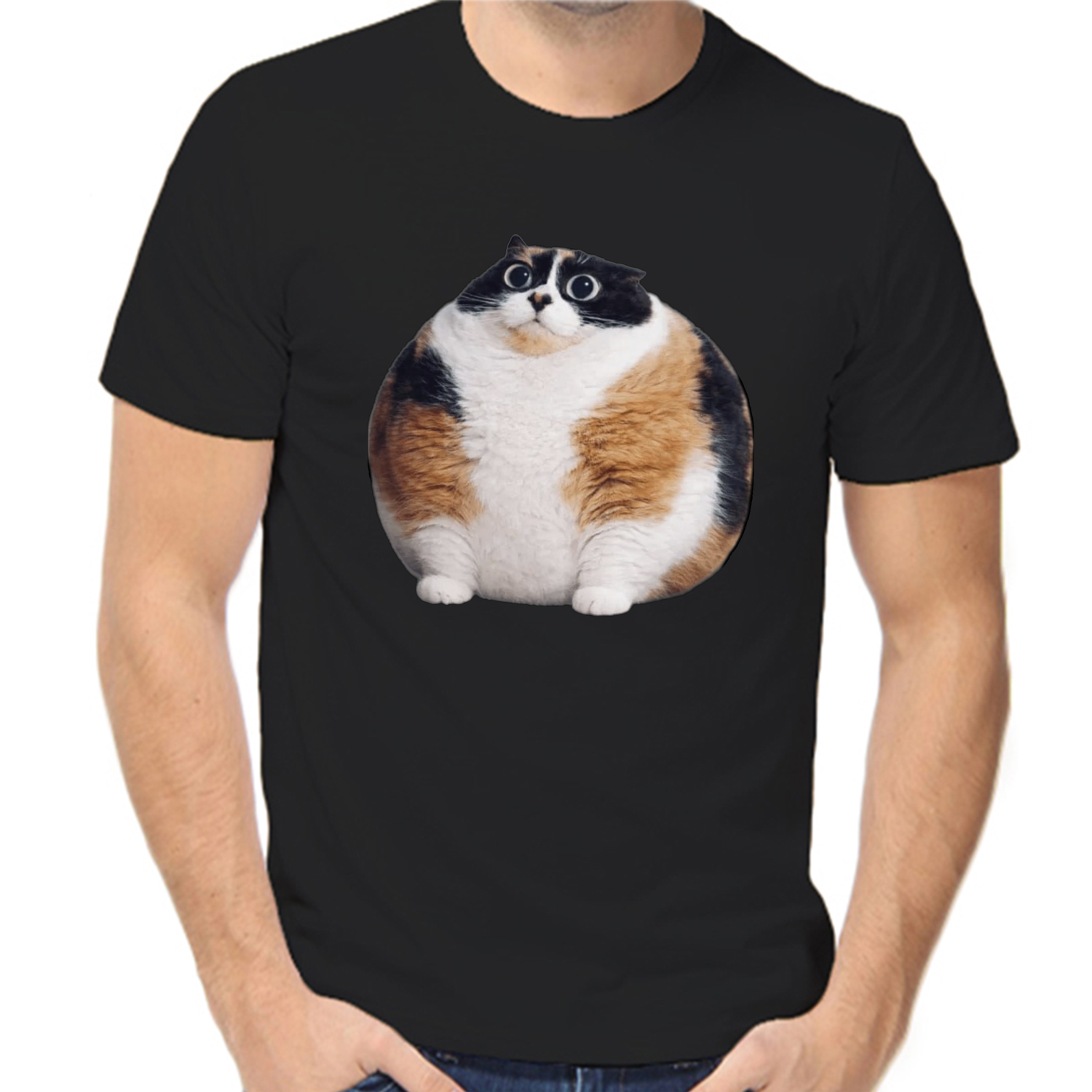 Футболка котость