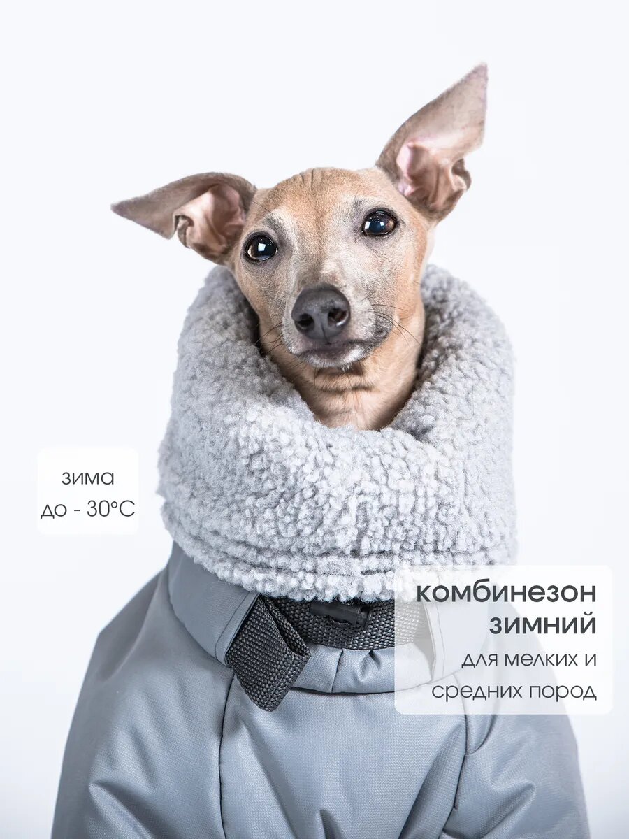 Комбинезон зимний для собак FROST WIND GREYDOG