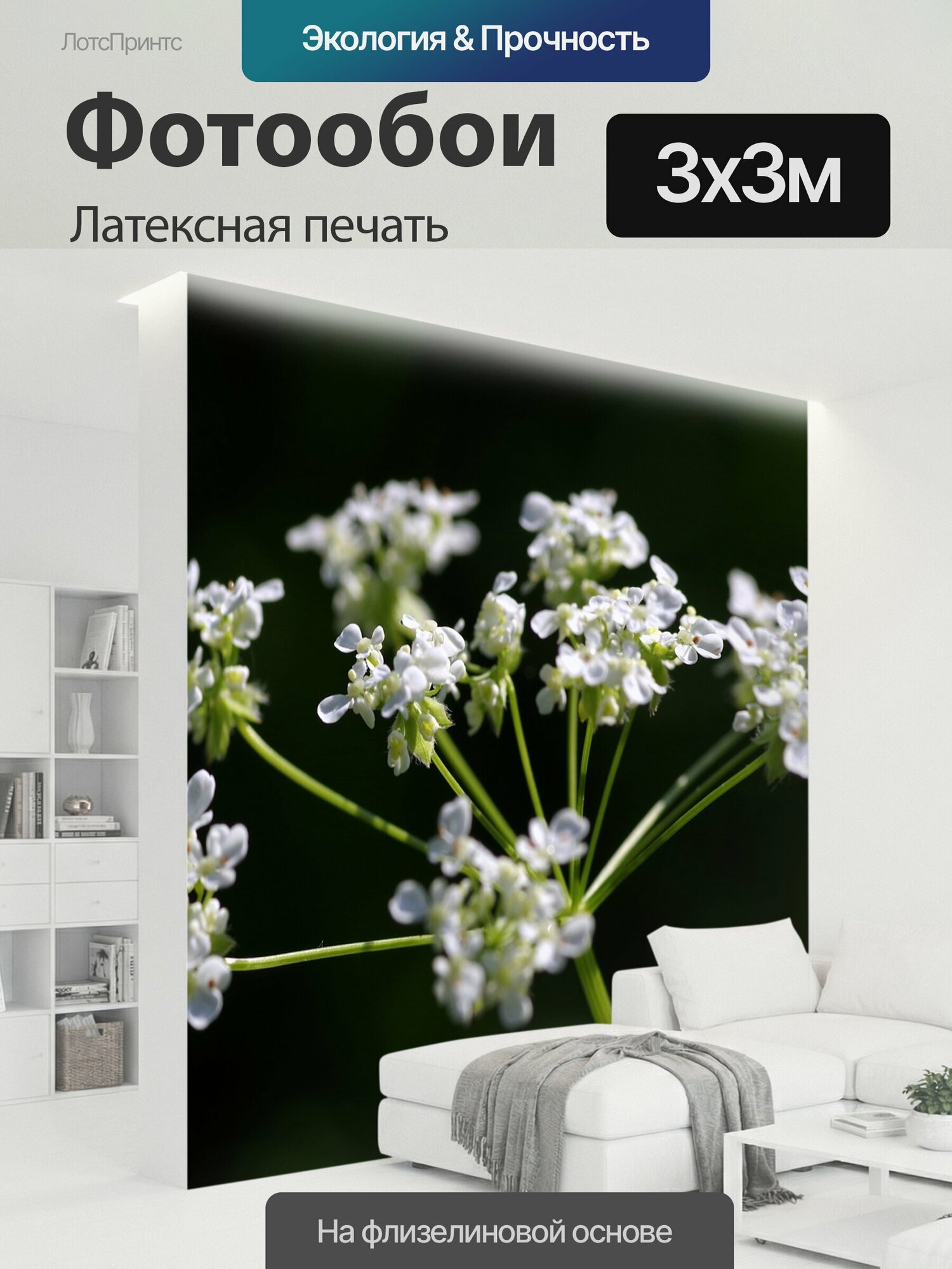 Фотообои моющиеся ударопрочные "Укроп, дикий, цветок" 300x300 см. латексная печать