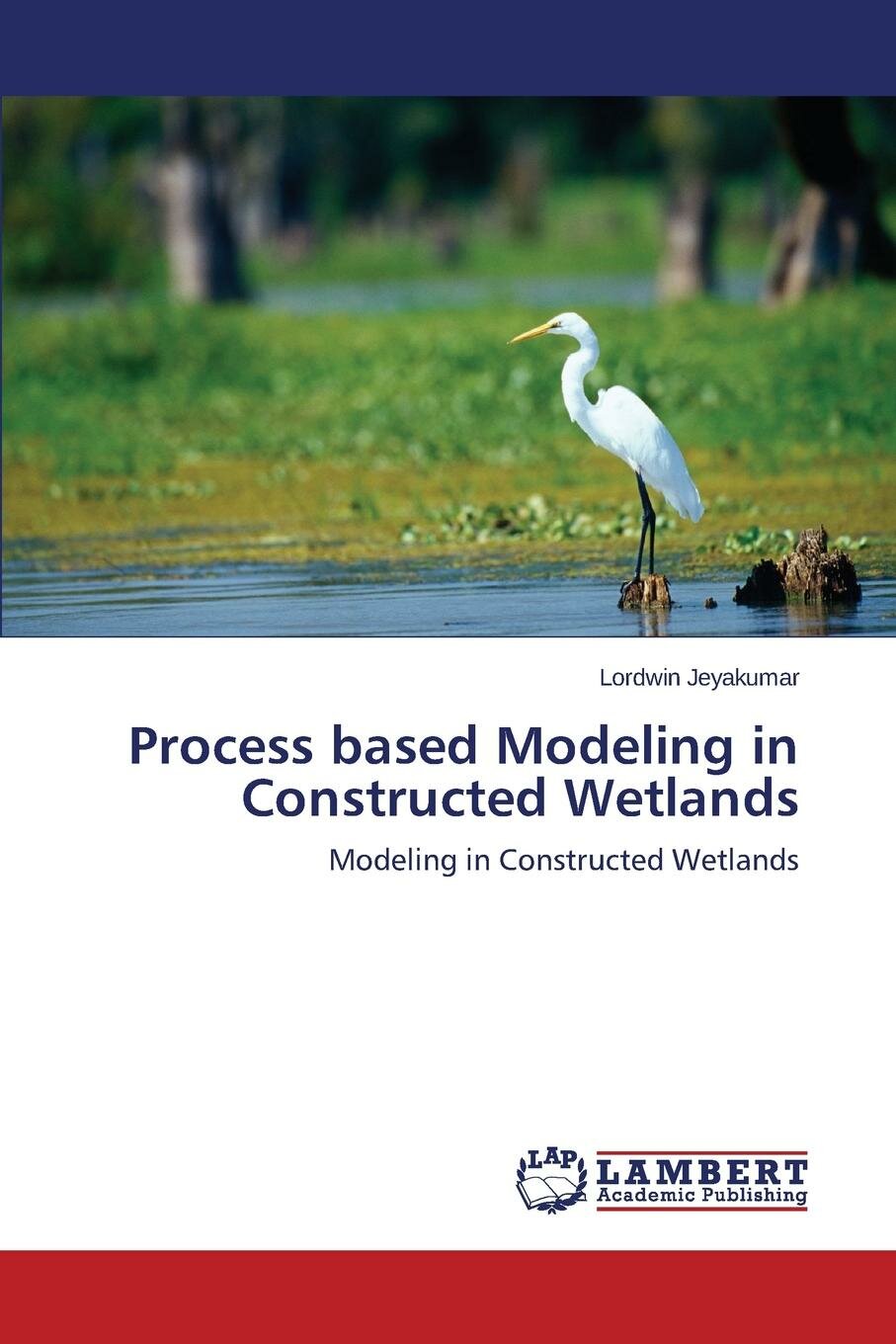 Process Based Modeling in Constructed Wetlands — фото 1