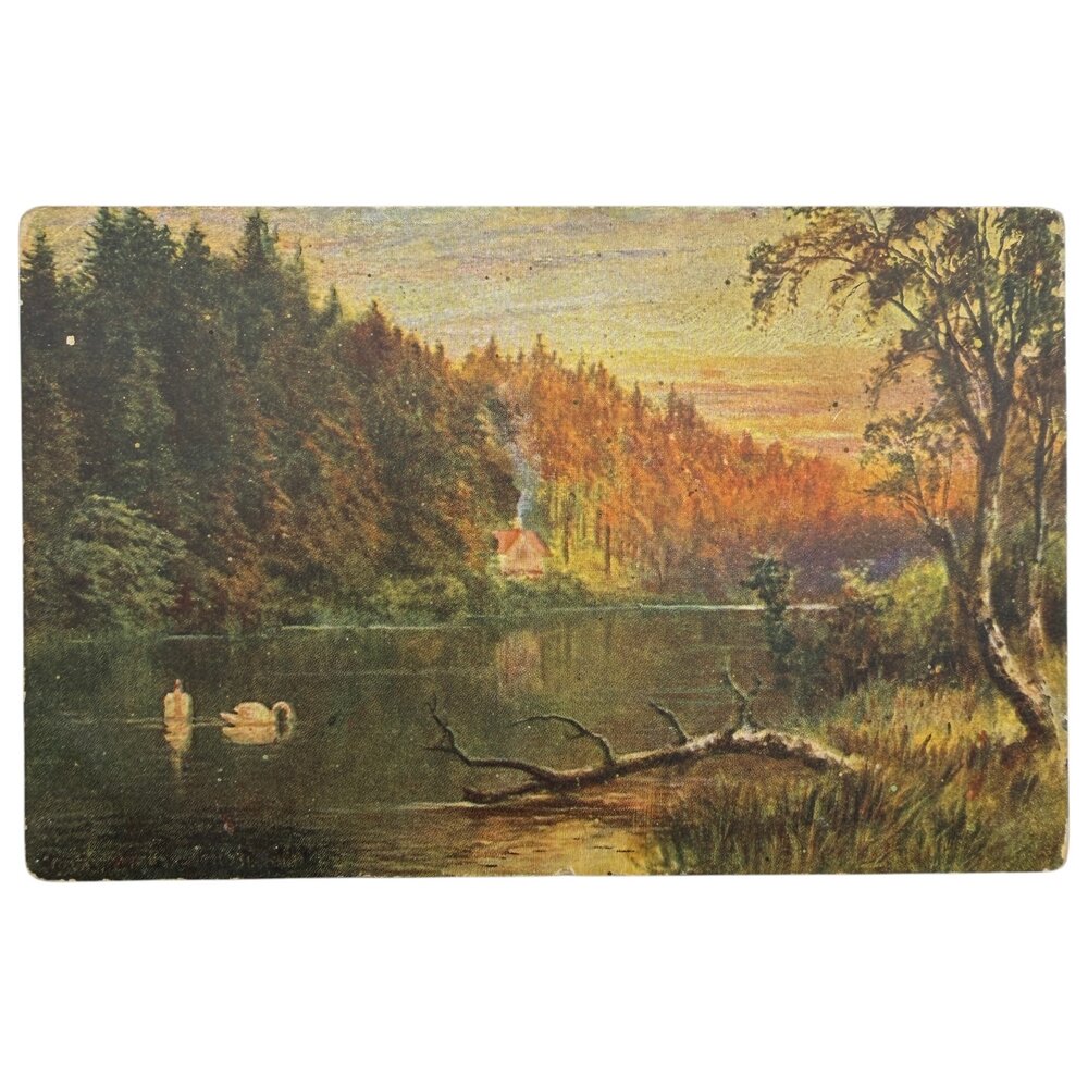 Почтовая открытка "Лесное озеро" 1900-1917 гг. Российская Империя