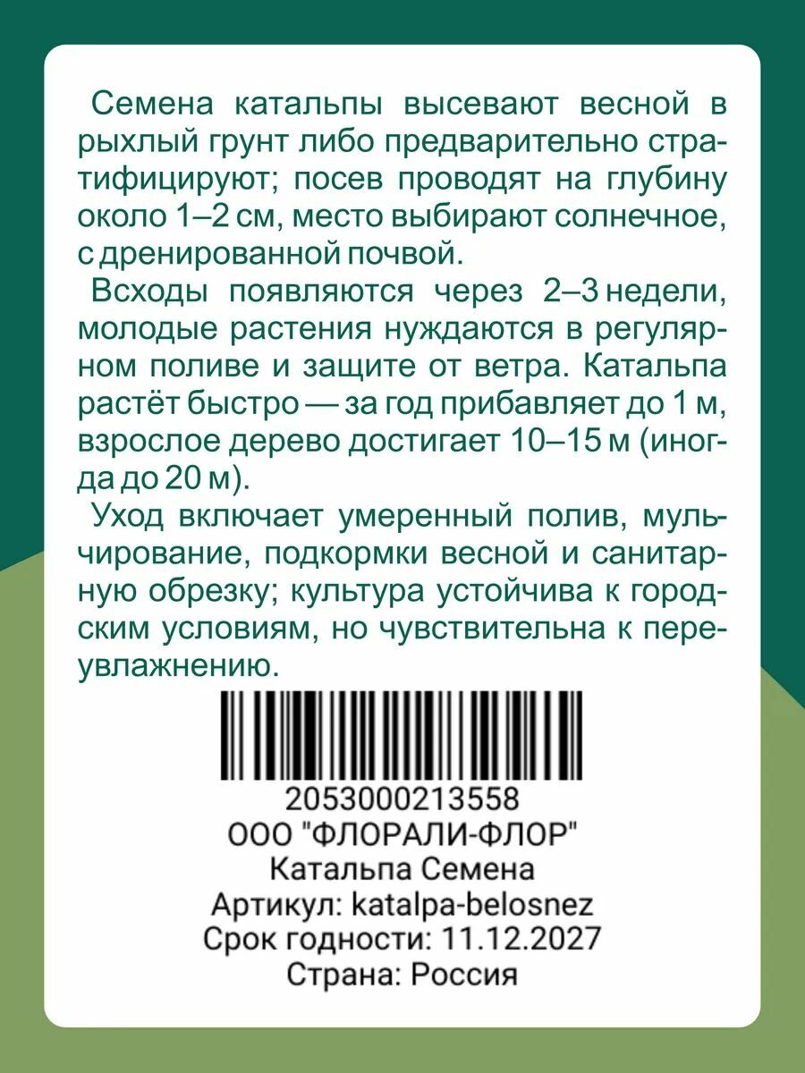 Катальпа Семена — фото 1