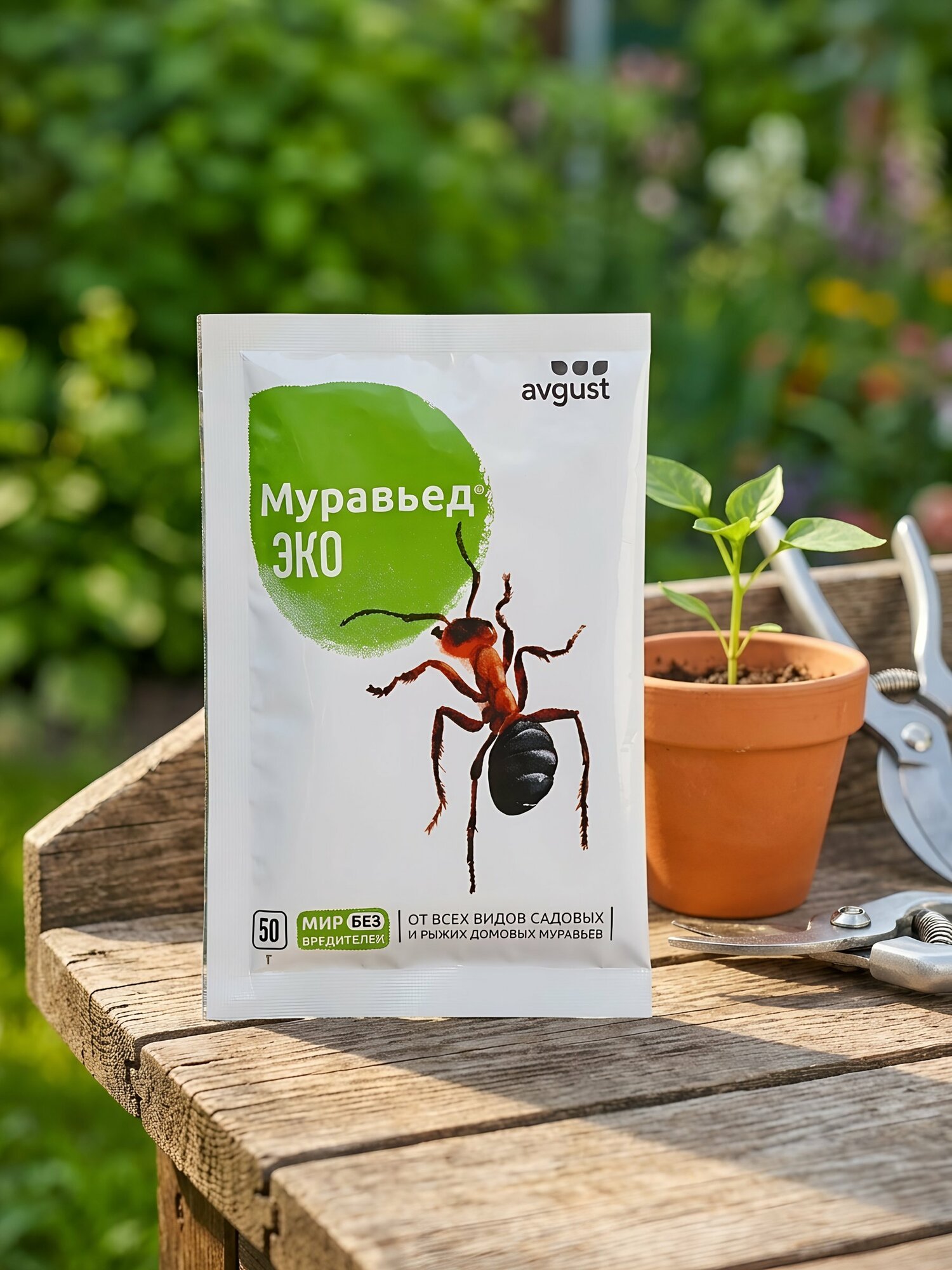 Инсектицид Муравьед ЭКО от муравьев порошок 50 г Avgust - эффективное средство от вредителей для сада и огорода