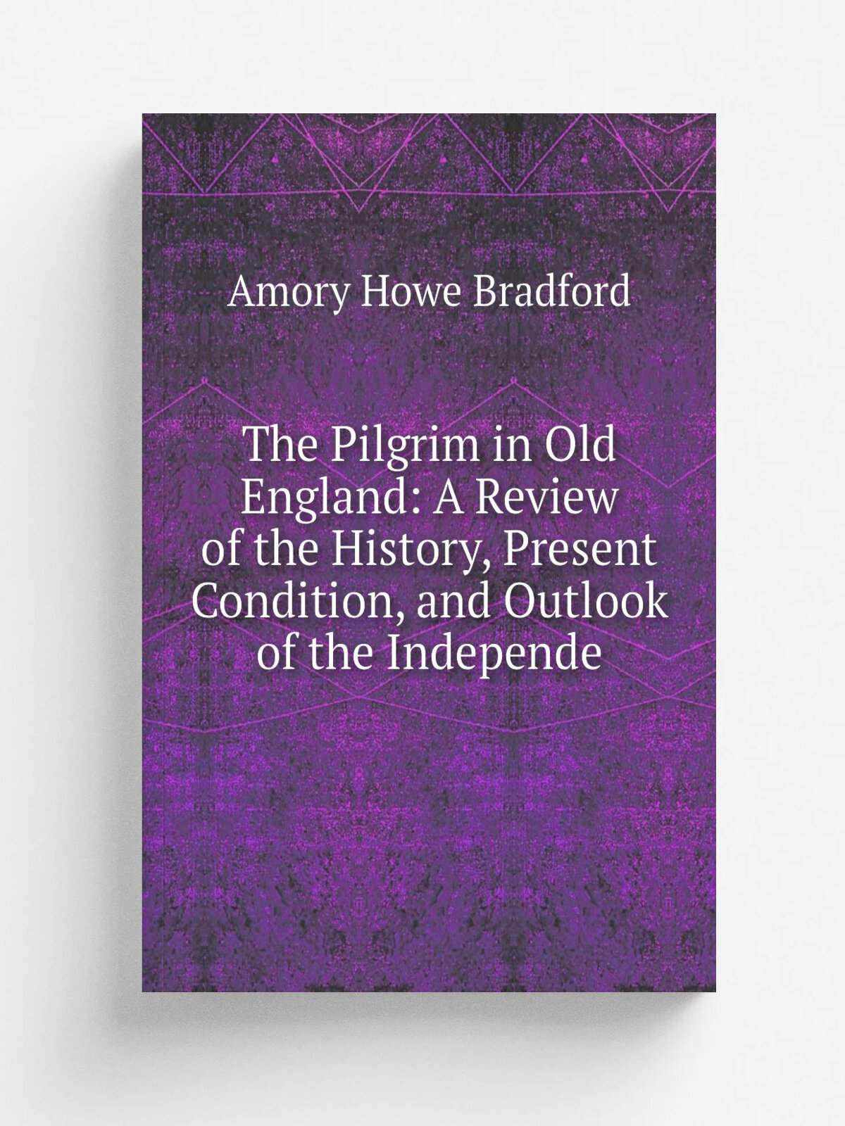 The Pilgrim in Old England: A Review of the History, Present Condition, and Outlook of the Independe | Amory Howe Bradford | Репринт