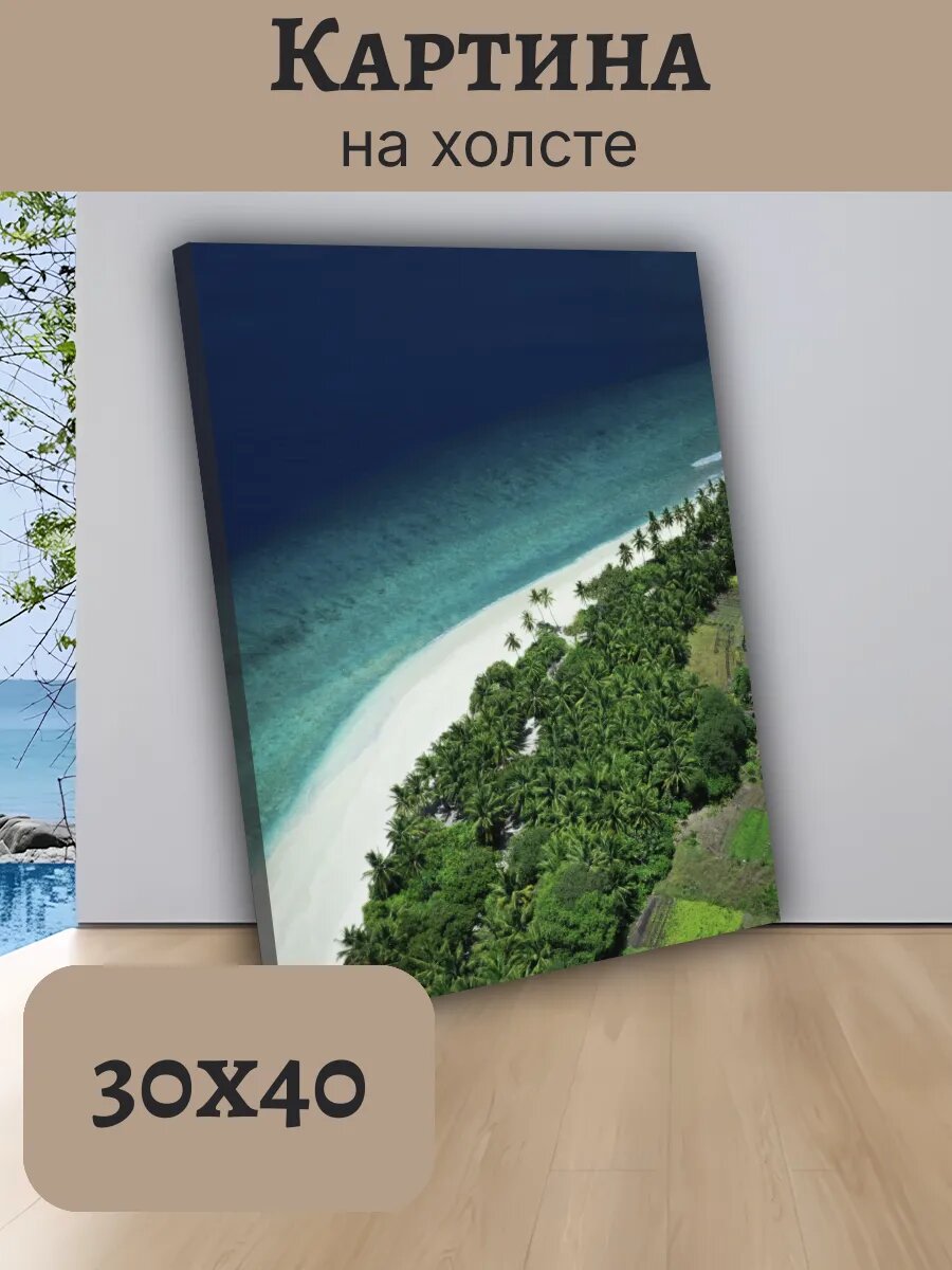 Картина Постер Мальдивы Maldives 30x40 аэрофотоснимок