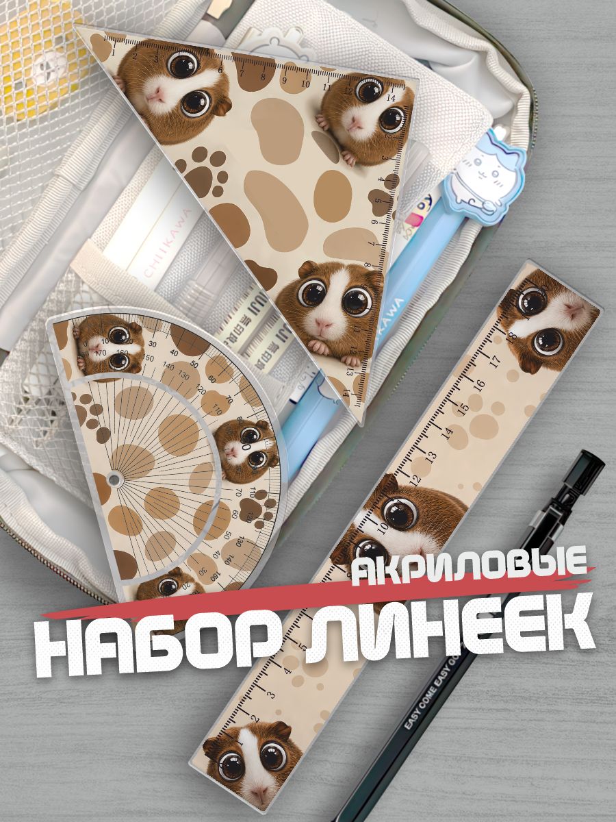 Набор линеек для школы Плаксик мем