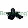 BORSEHUNG B10557 Термостат