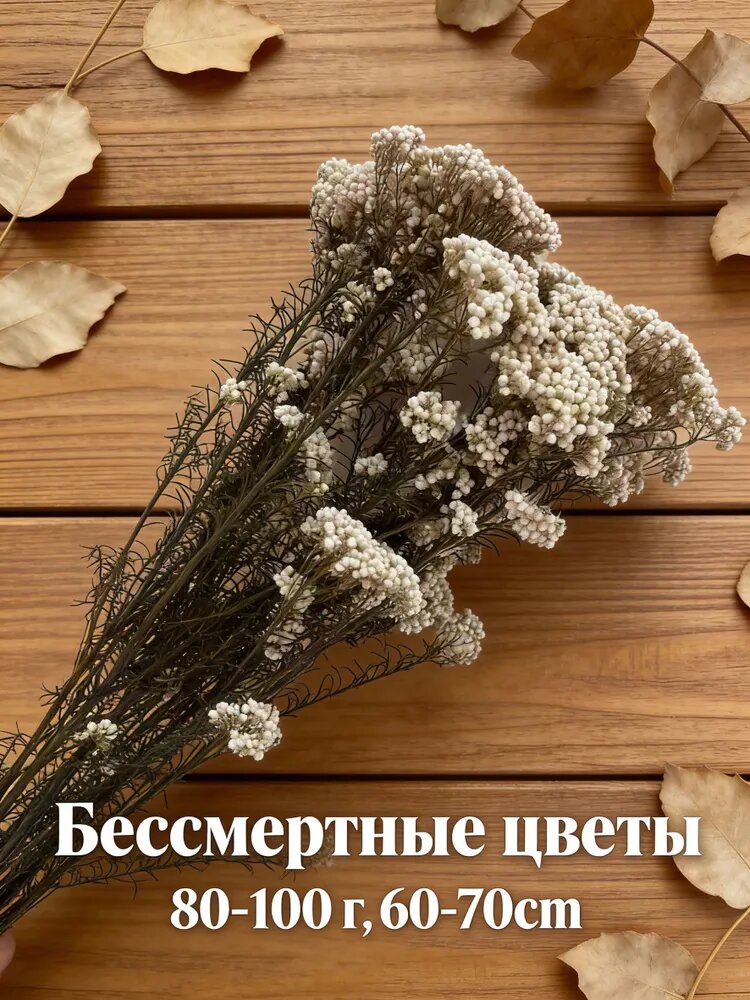 Сухоцветы 60 см 90 гр 1 шт для интерьера для декора для дома для офиса для букета