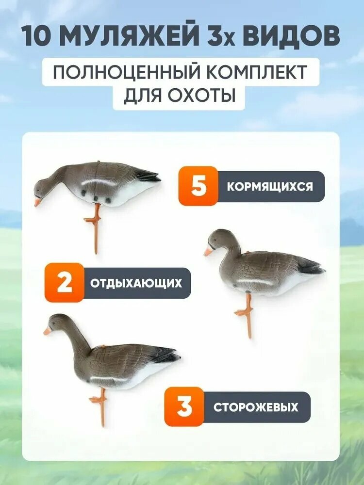 Чучело — фото 1