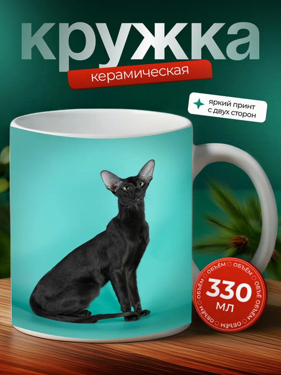 Кружка Американский рингтейл длинношерстный кот 47,