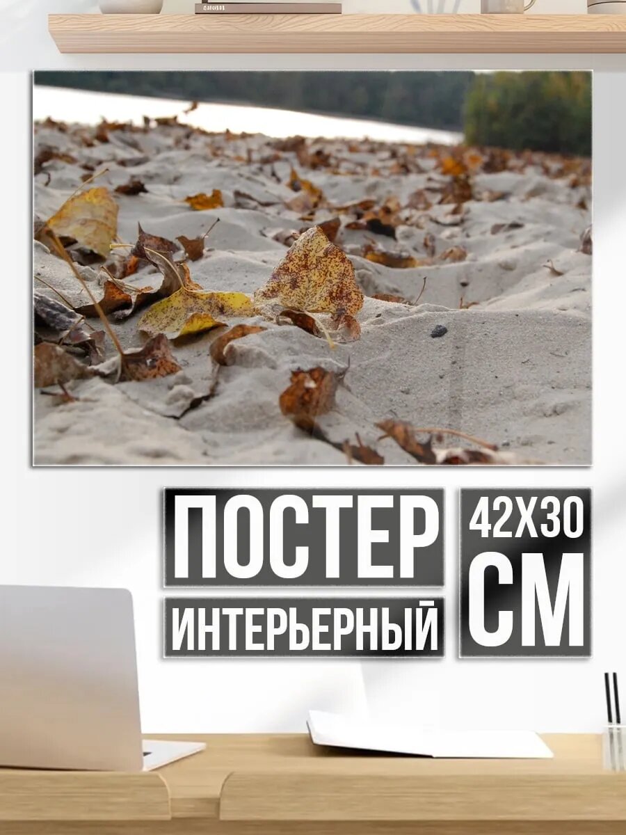 Плакат постер Осенние листья на песке