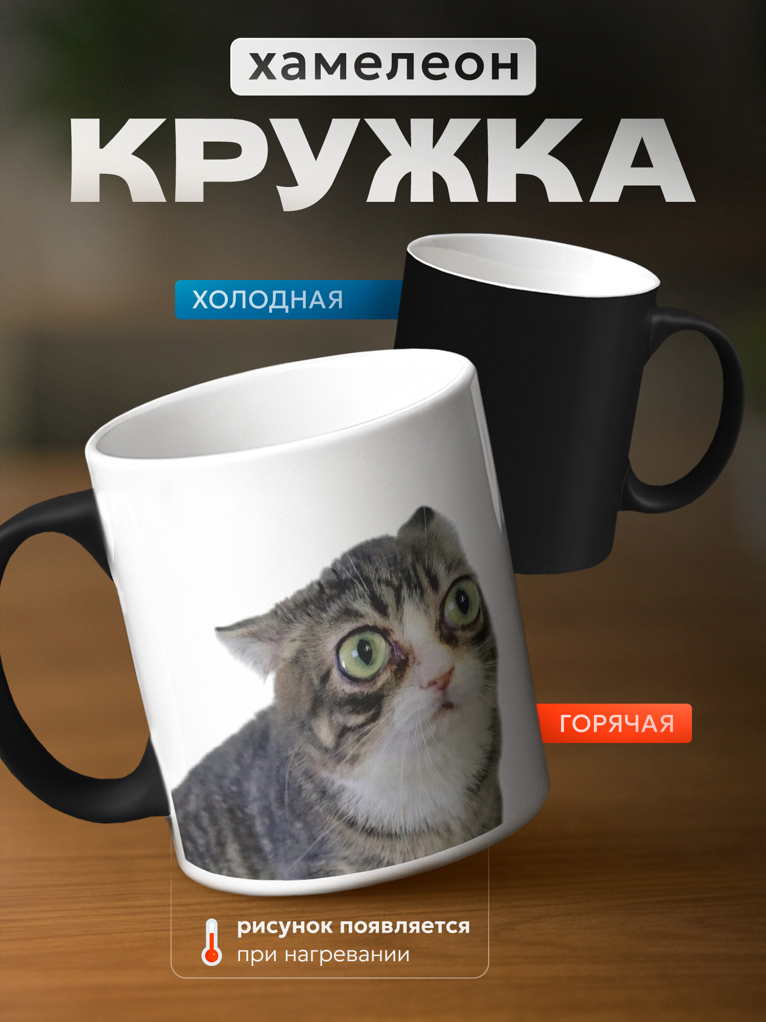 Кружка хамелеон мем Кошка с выпученными глазами Винки