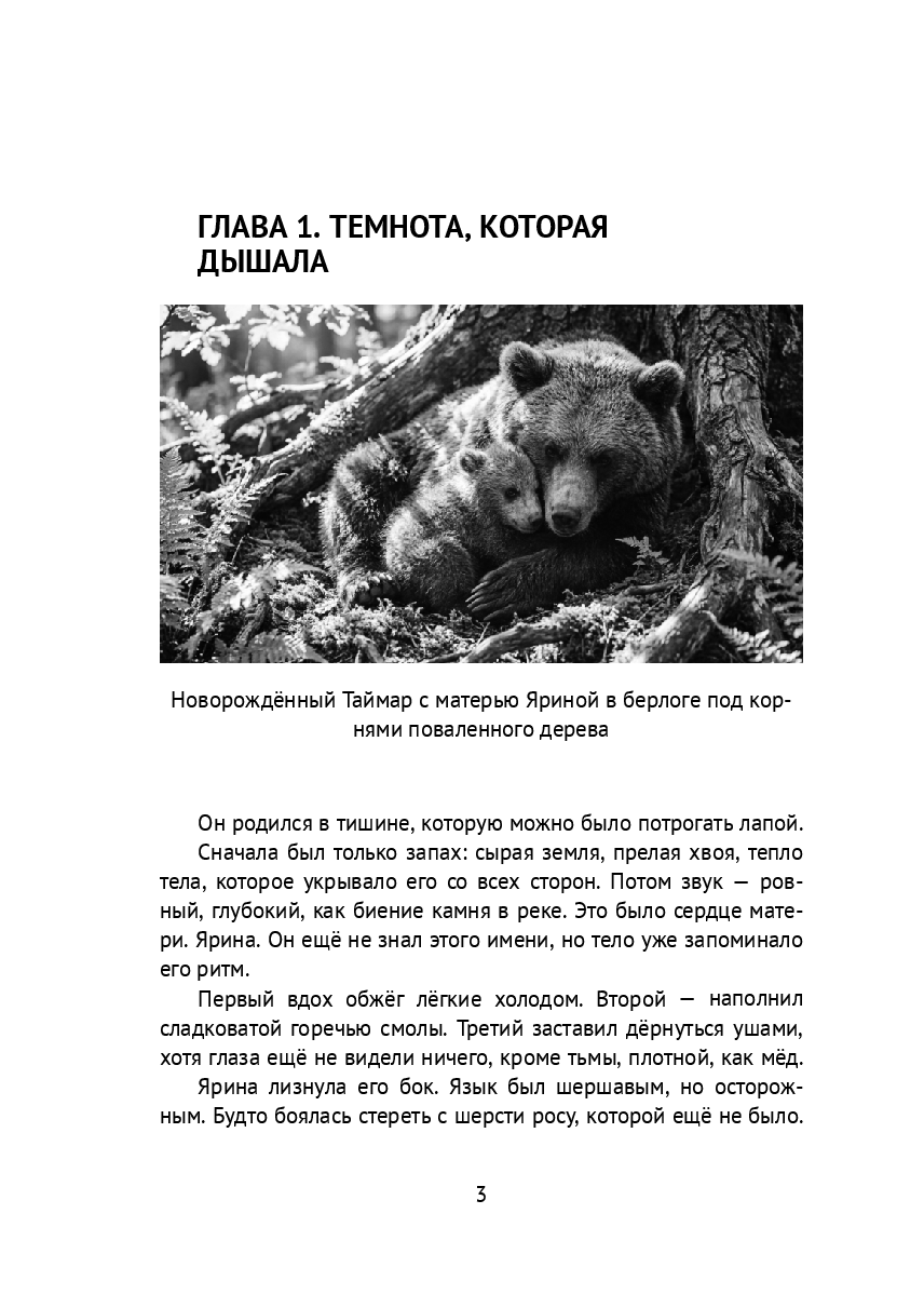 Таймар. Шёпот леса — фото 1