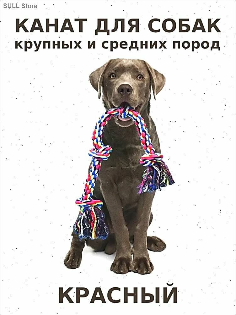 Канат для собак крупных и средних пород красный, хлопок / игрушка для чистки зубов
