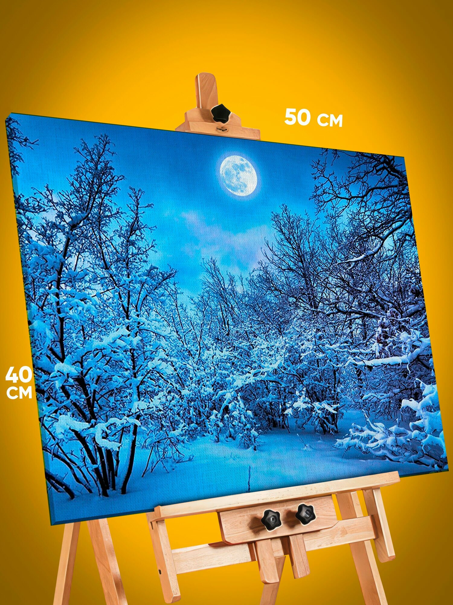 Картина на стену интерьерная на холсте с подрамником 40х50 Пейзаж зимний природа луна снег