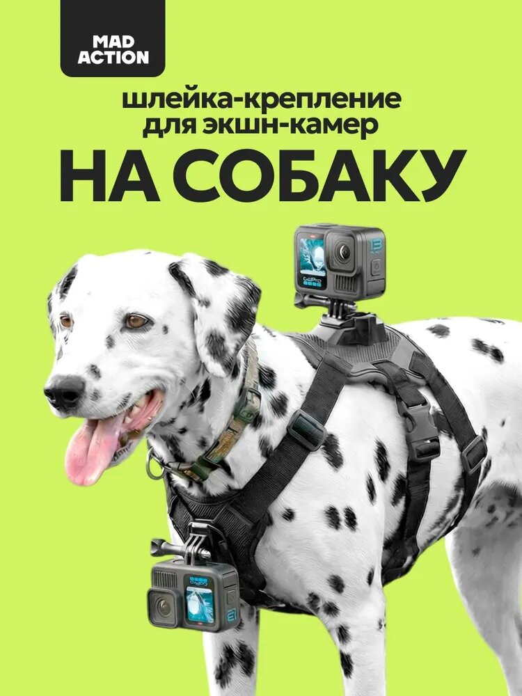 Крепление на собаку для экшн камер GoPro, DJI Osmo Action