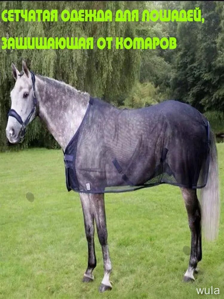 Антимоскитная одежда для лошадей