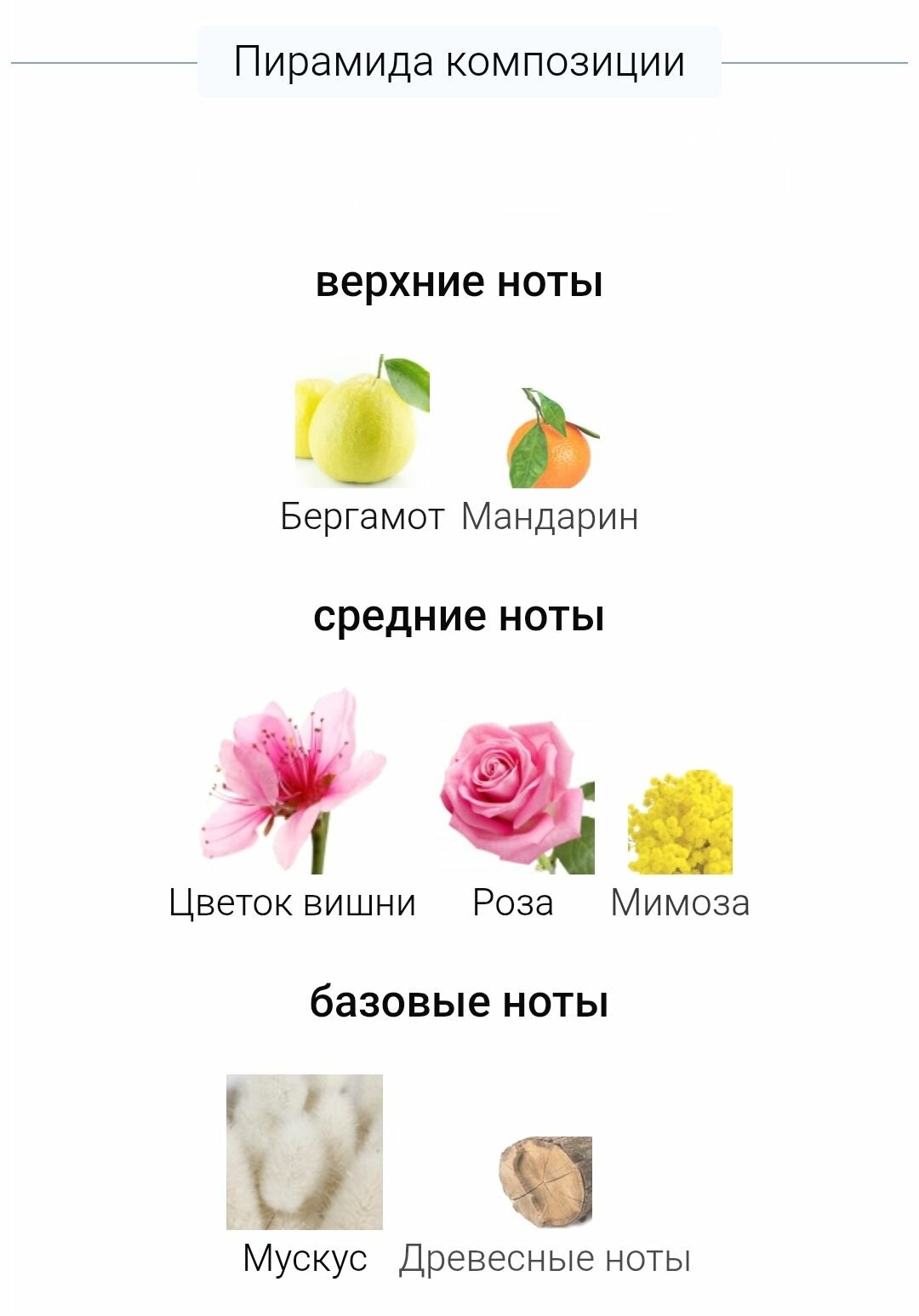 Духи ручной работы по мотивам 'Sakura Cherry Blossom', для женщин — фото 1