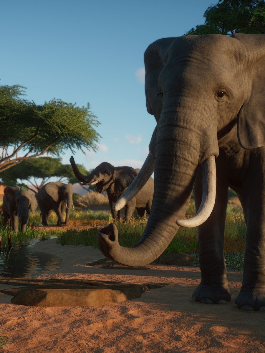 Planet Zoo PS5 — PlayStation Store Индия, цифровая версия — фото 1