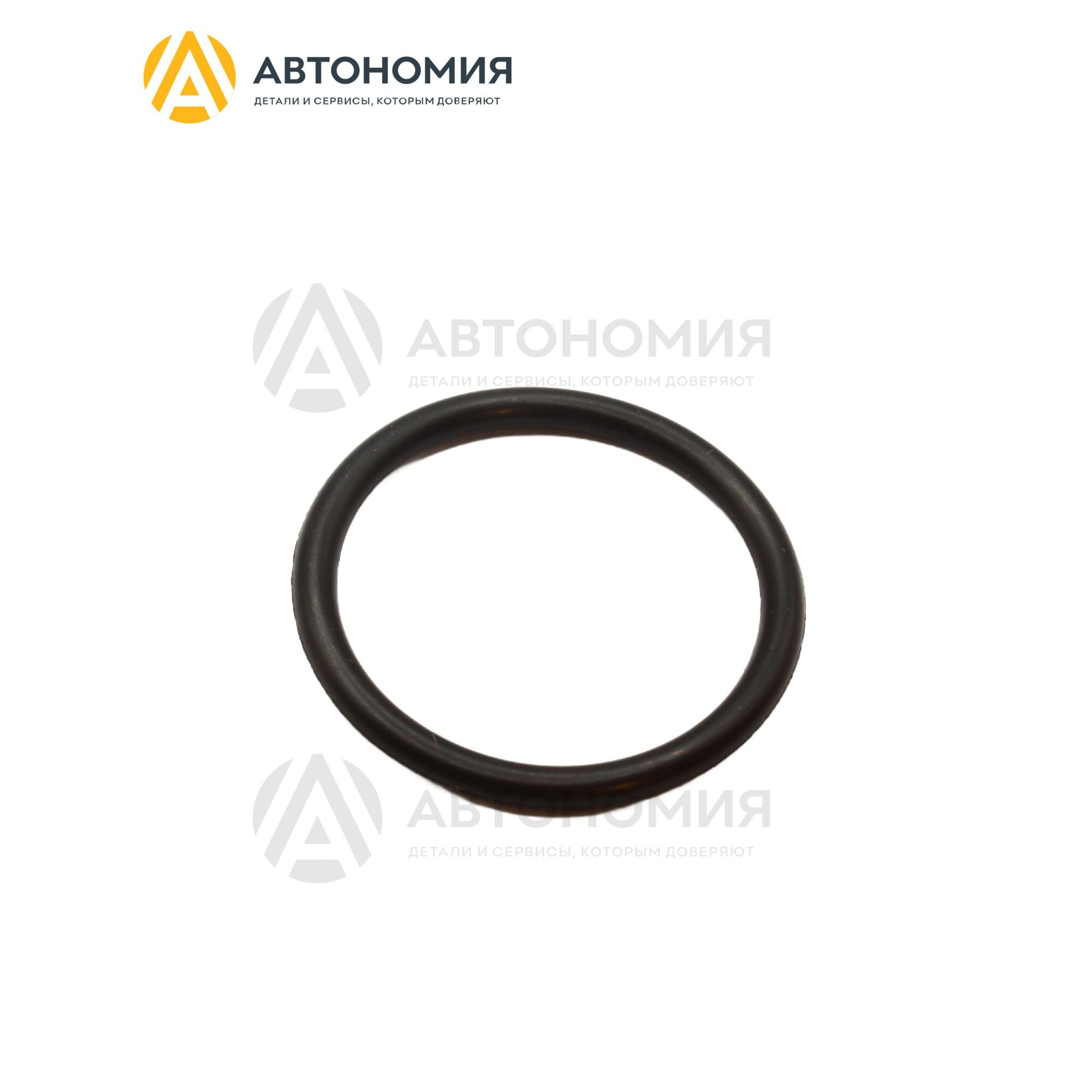 Кольцо уплотнительное Geely 1066029600