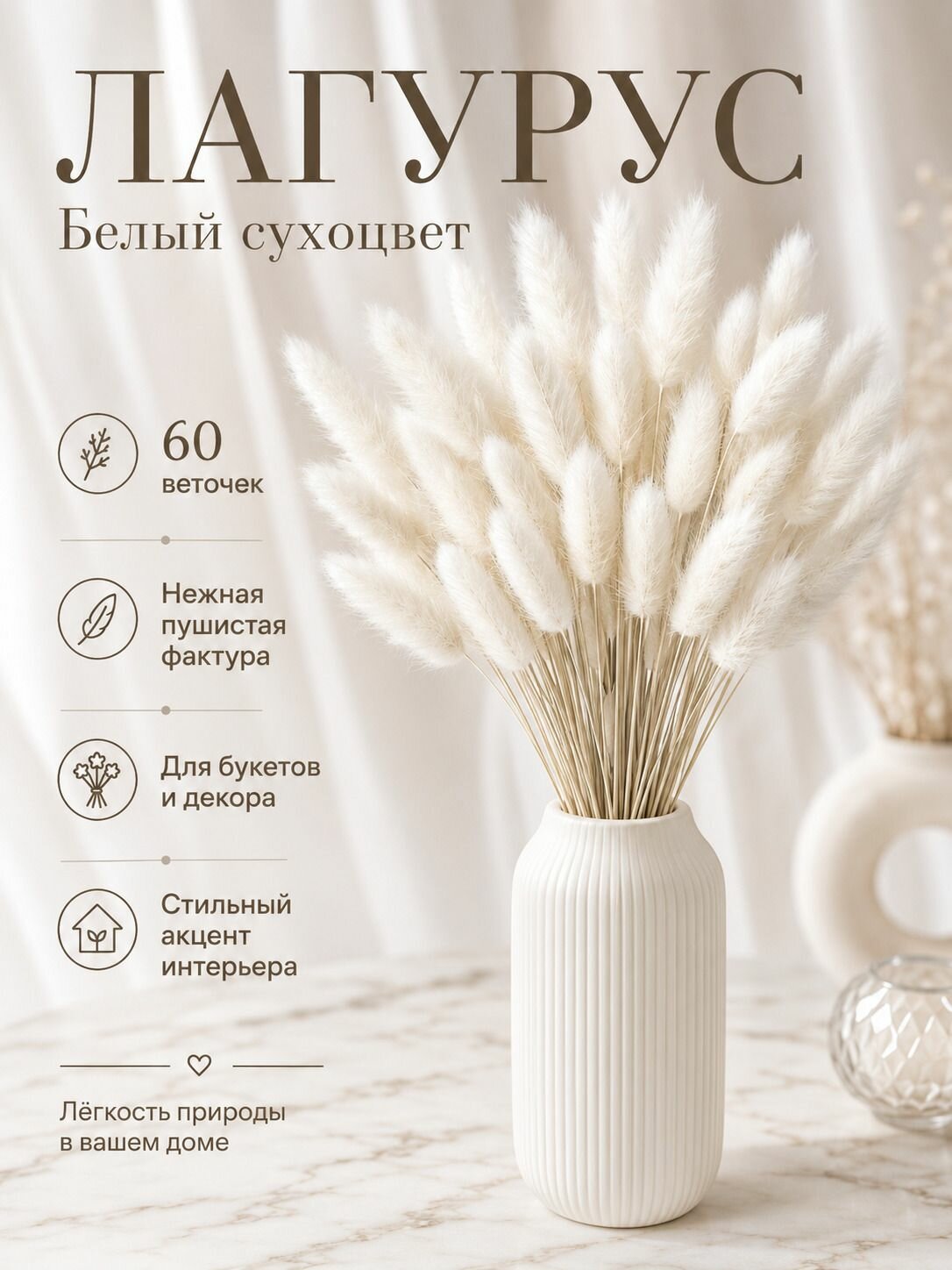 Сухоцветы Лагурус, 55 см, 100 гр, 60 шт