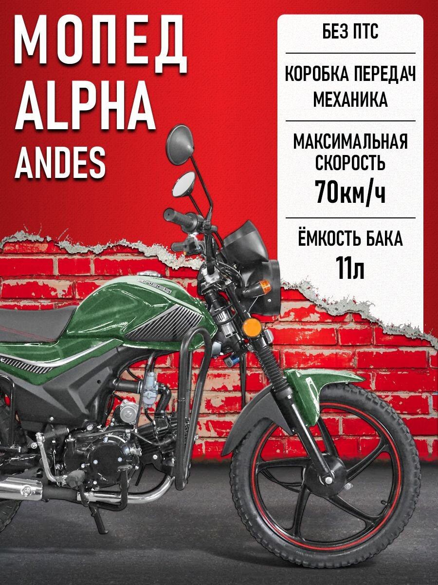 Мопед Alpha ANDES (Тюнинг)(защита ног, подставка для ног, багажник, литые диски)зеленый матовый