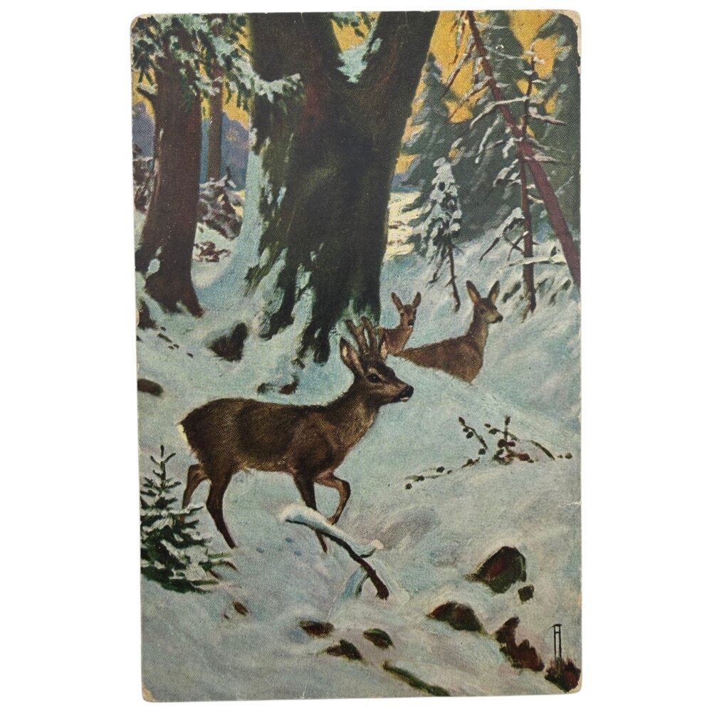 Почтовая открытка "Косули в зимнем лесу" 1900-1915 гг. Германская Империя