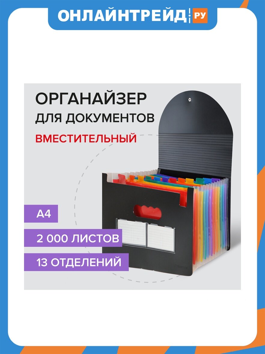 Папка-органайзер Brauberg для бумаг и документов на резинке, 13 отделений, DOCS, А4, черная, 271152