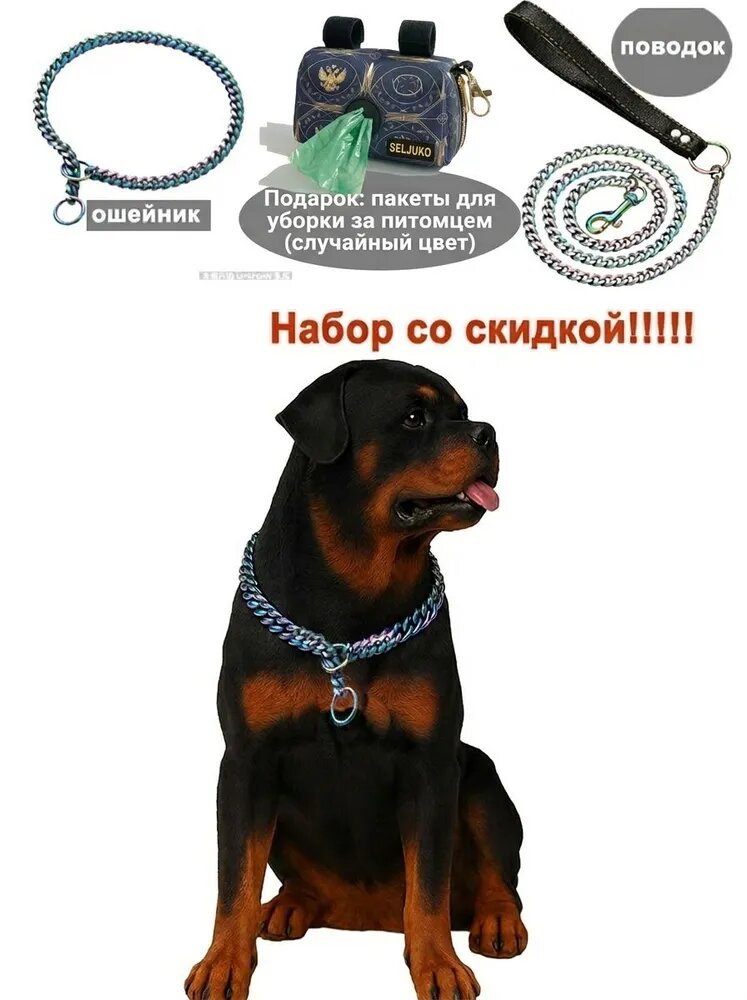 Набор для собак: нержавеющий цветной ошейник-цепь 15мм + поводок (2 предмета) для средних и крупных пород