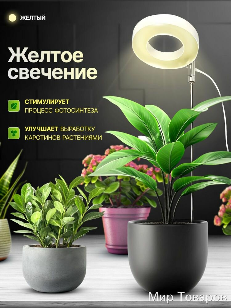 Фитосветильник Мир Товаров с таймером 10 уровней яркости полный спектр адаптер в комплекте для растений — фото 1