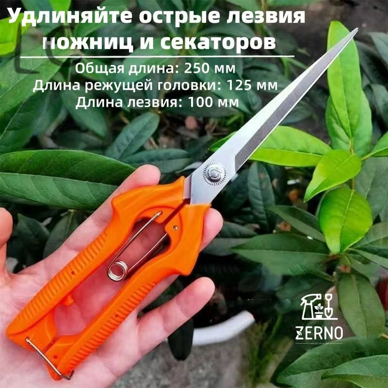 Секатор