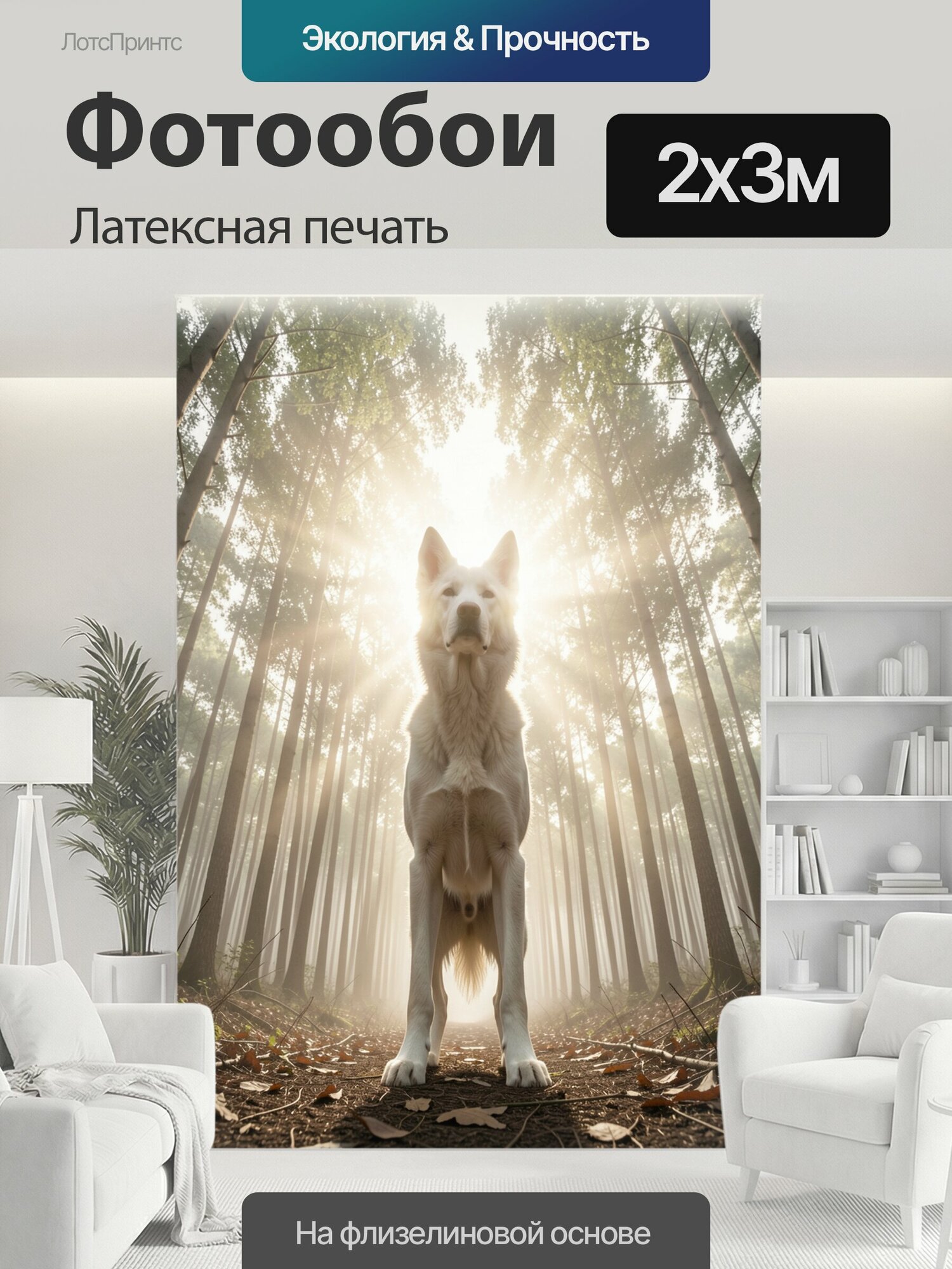 Фотообои моющиеся ударопрочные "Белая собака в лесу. Светлый пёс стоит на лесной тропе среди высоких сосен, сквозь деревья пробиваются солнечные." 200x300 см. латексная печать