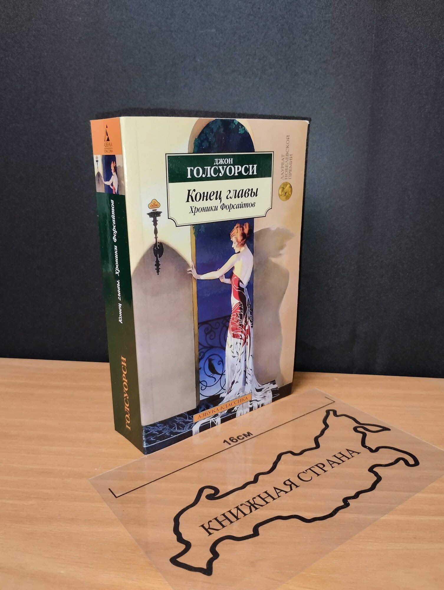 Конец главы. Хроники Форсайтов. Джон Голсуорси.