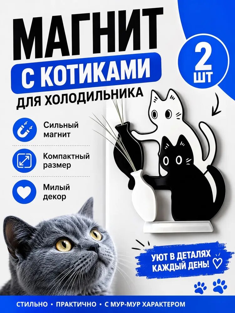 Магнит на холодильник Усятница, прозрачный контейнер для сбора кошачьей шерсти и усов, аксессуар для кошек