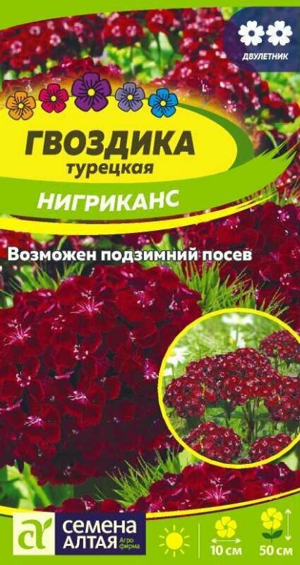 Семена гвоздики турецкой "Нигриканс" Семена Алтая, 0,05 г, двулетник. Семена Алтая