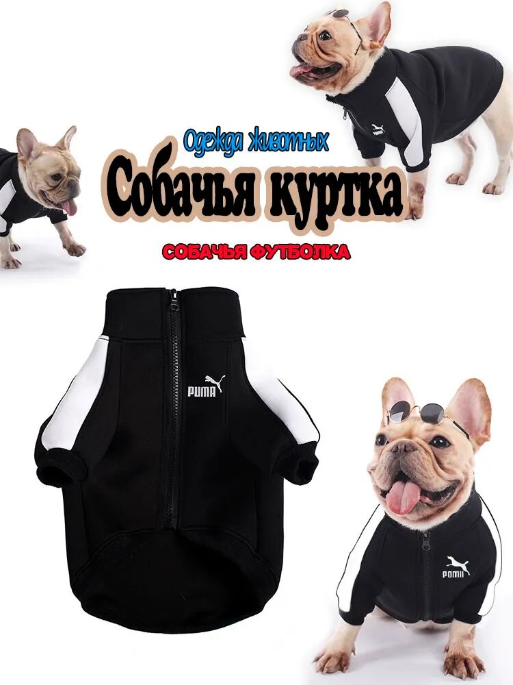 Толстовка для животных с капюшоном: комфорт, мода, защита от холода
