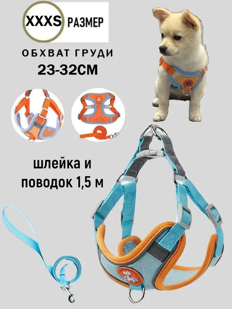 Шлейка для кошек с поводком, собак мелких пород. XXXS. Обхват груди 23-32 см. синий