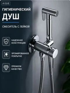 Встраиваемый смеситель для биде с гигиеническим душем, латунь, горячая/холодная вода, гальваническое серебро.