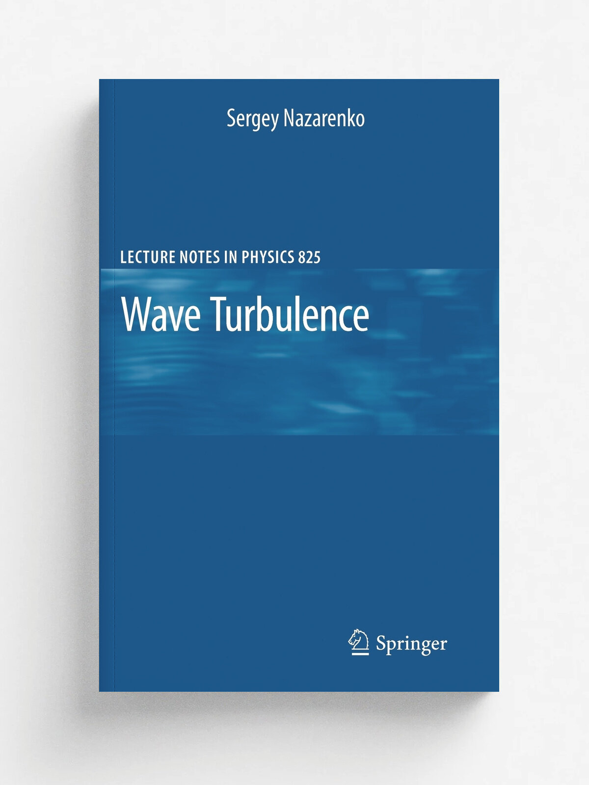Wave Turbulence