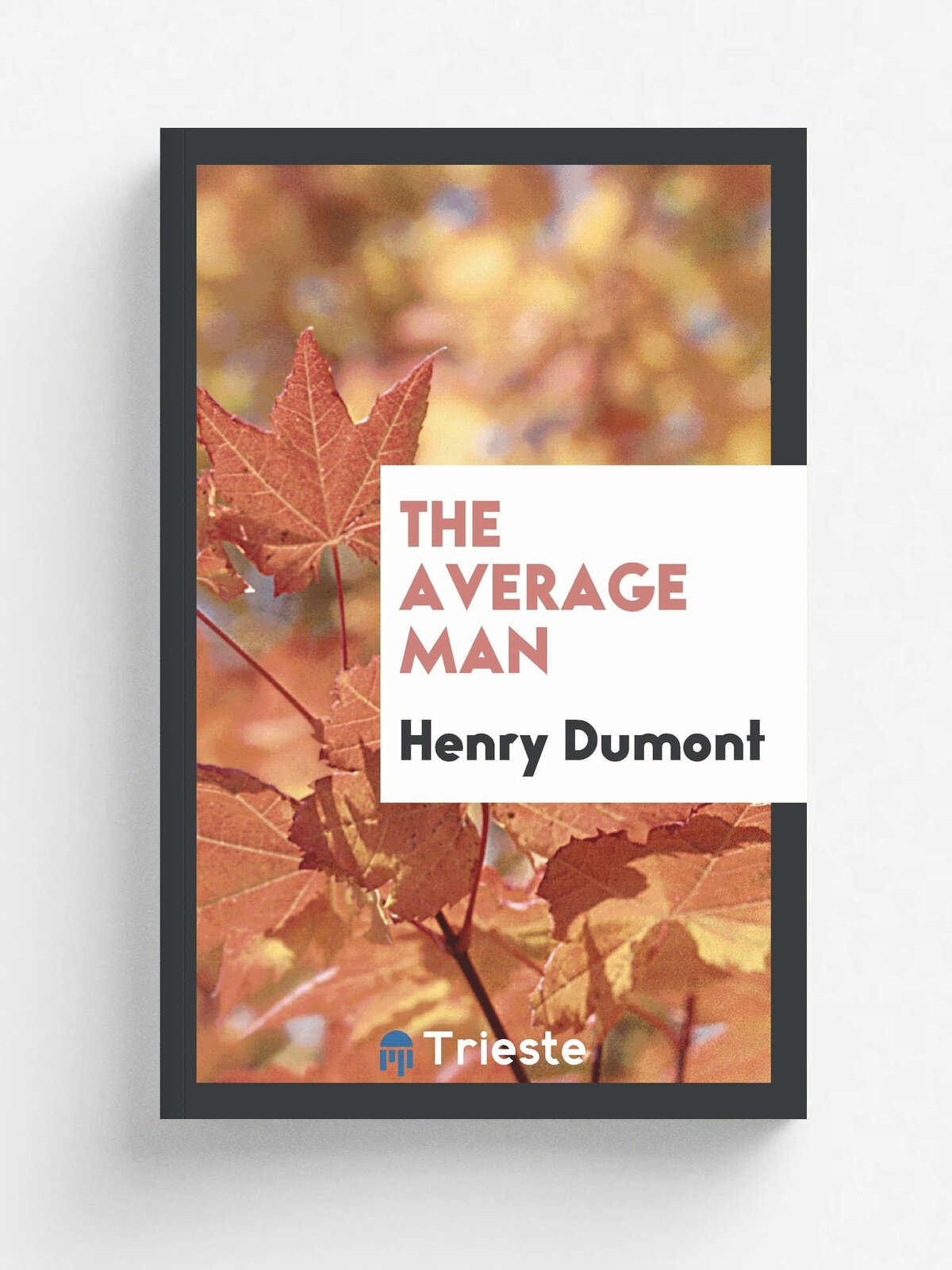 The Average Man