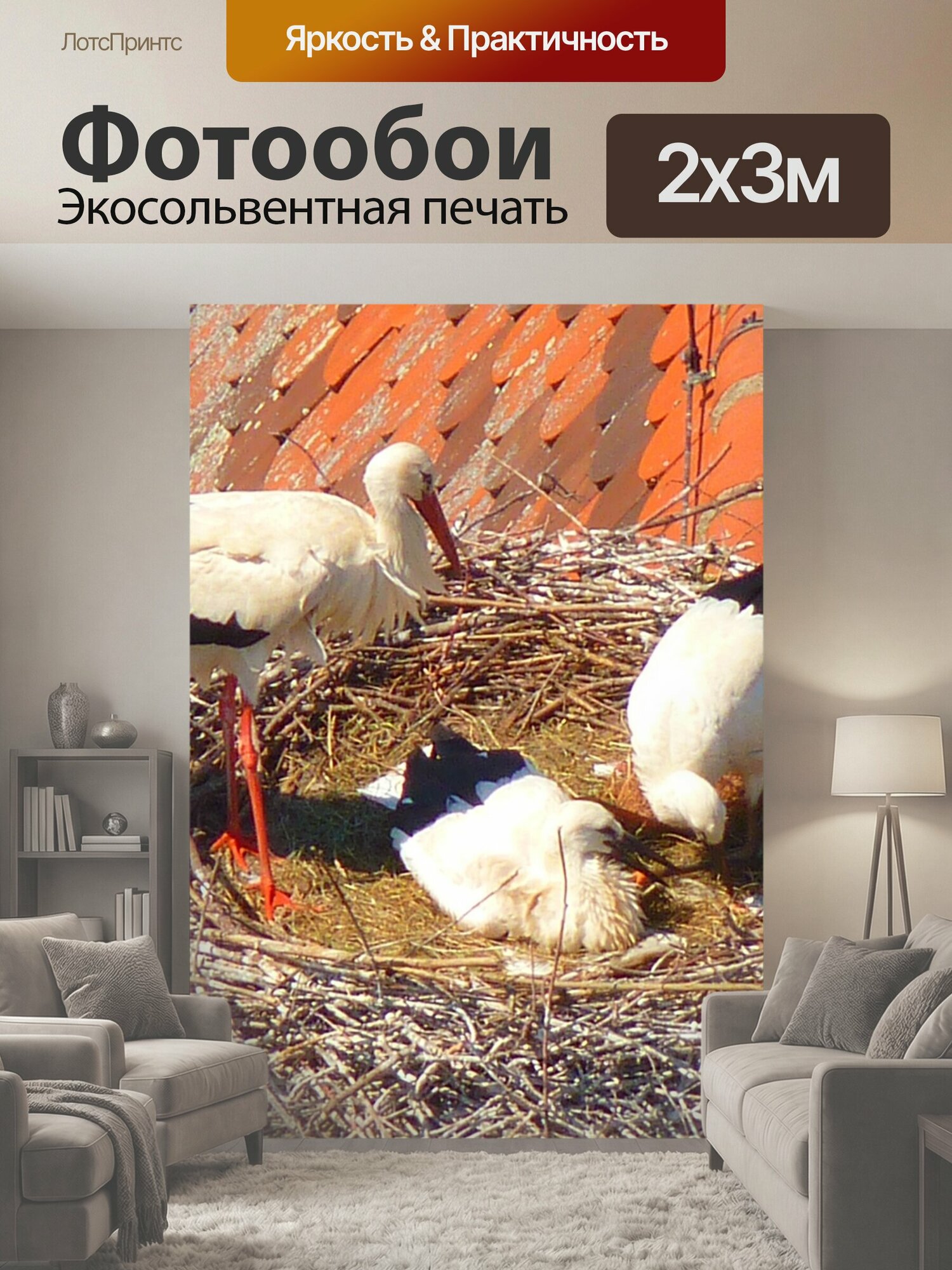 Фотообои "Аист, аисты, птицы" 200x300 см. экосольвентная печать