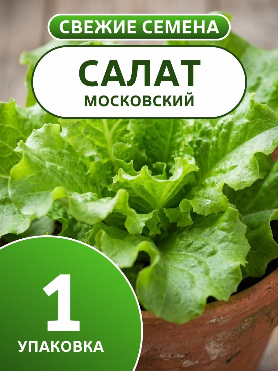 Семена салата Московский для выращивания, 1 уп