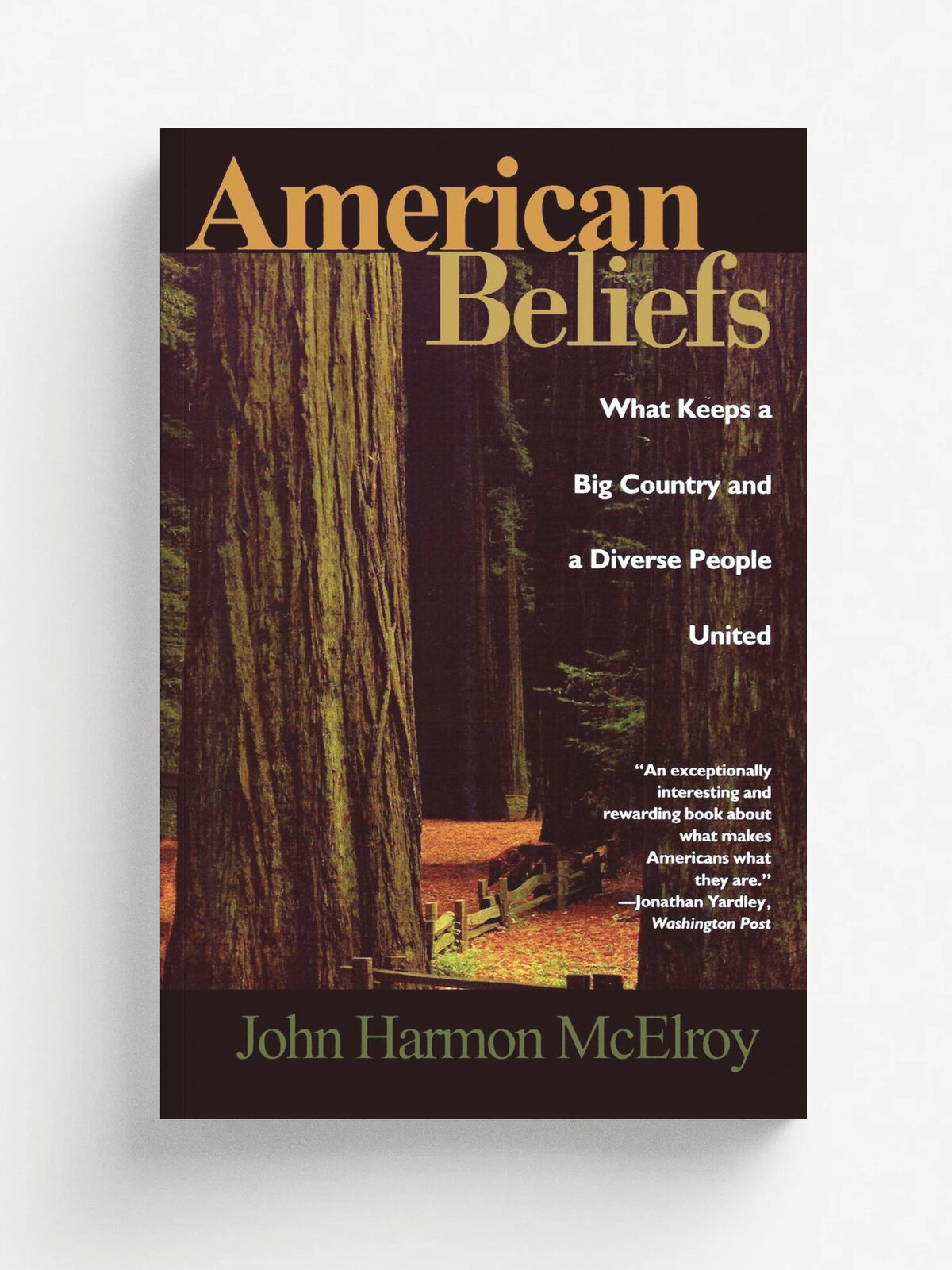 American Beliefs. What Keeps a Big Country and a Diverse People United