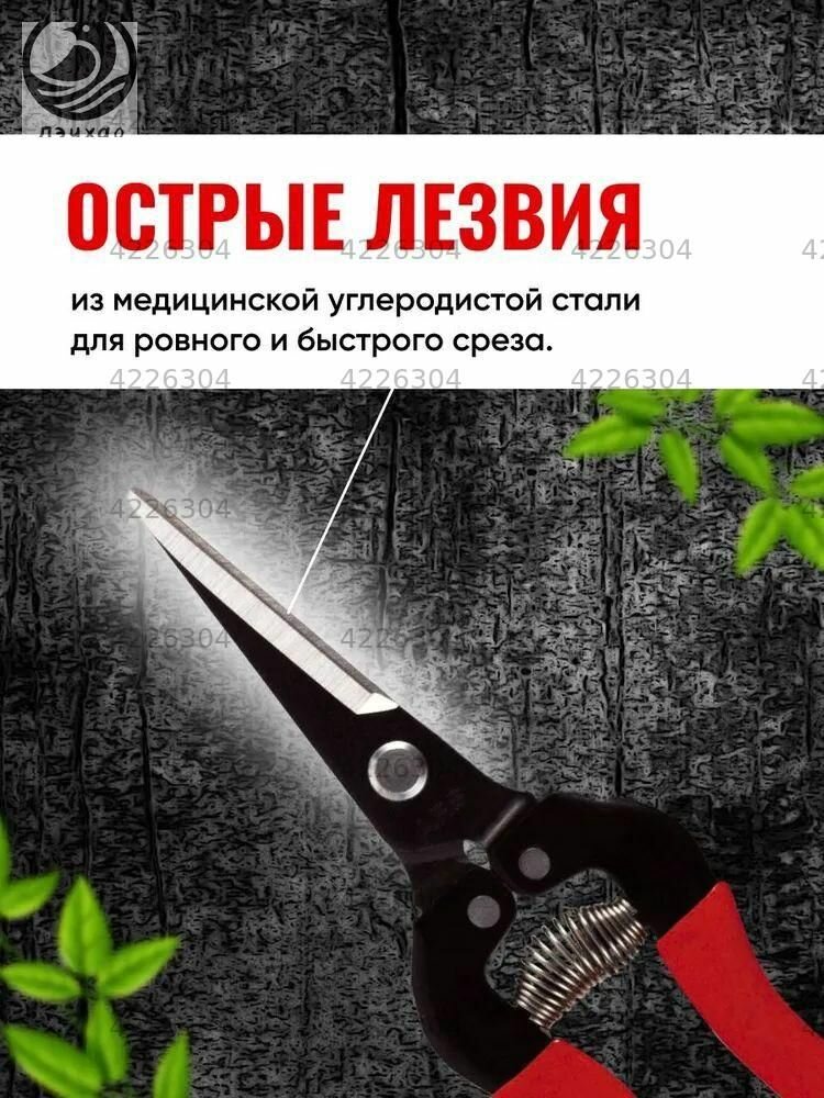 Секатор, Секаторы, Высокоуглеродистая сталь, Ручные секаторы, высоторезы, сучкорезы — фото 1