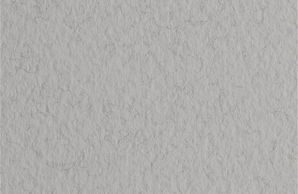 Бумага для пастели Fabriano "Tiziano", Nebbia, цвет Серый холодный, 160 г/м2, 70х100 см, 10 листов