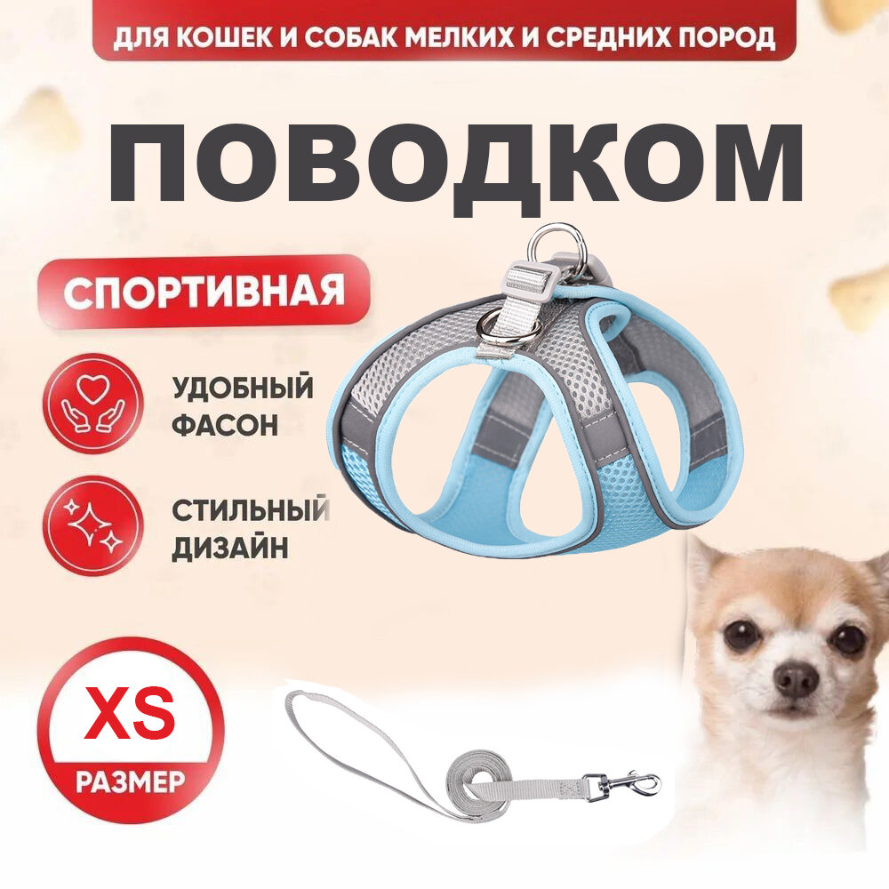 Шлейка для кошек с поводком XS, для кошек 3-4кг, шлейка для собак мелких пород