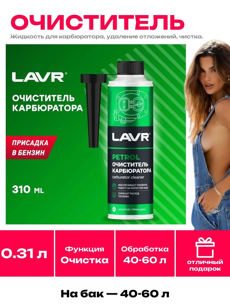 Удаление ледяных пробок, очистка карбюратора, 310мл присадка
